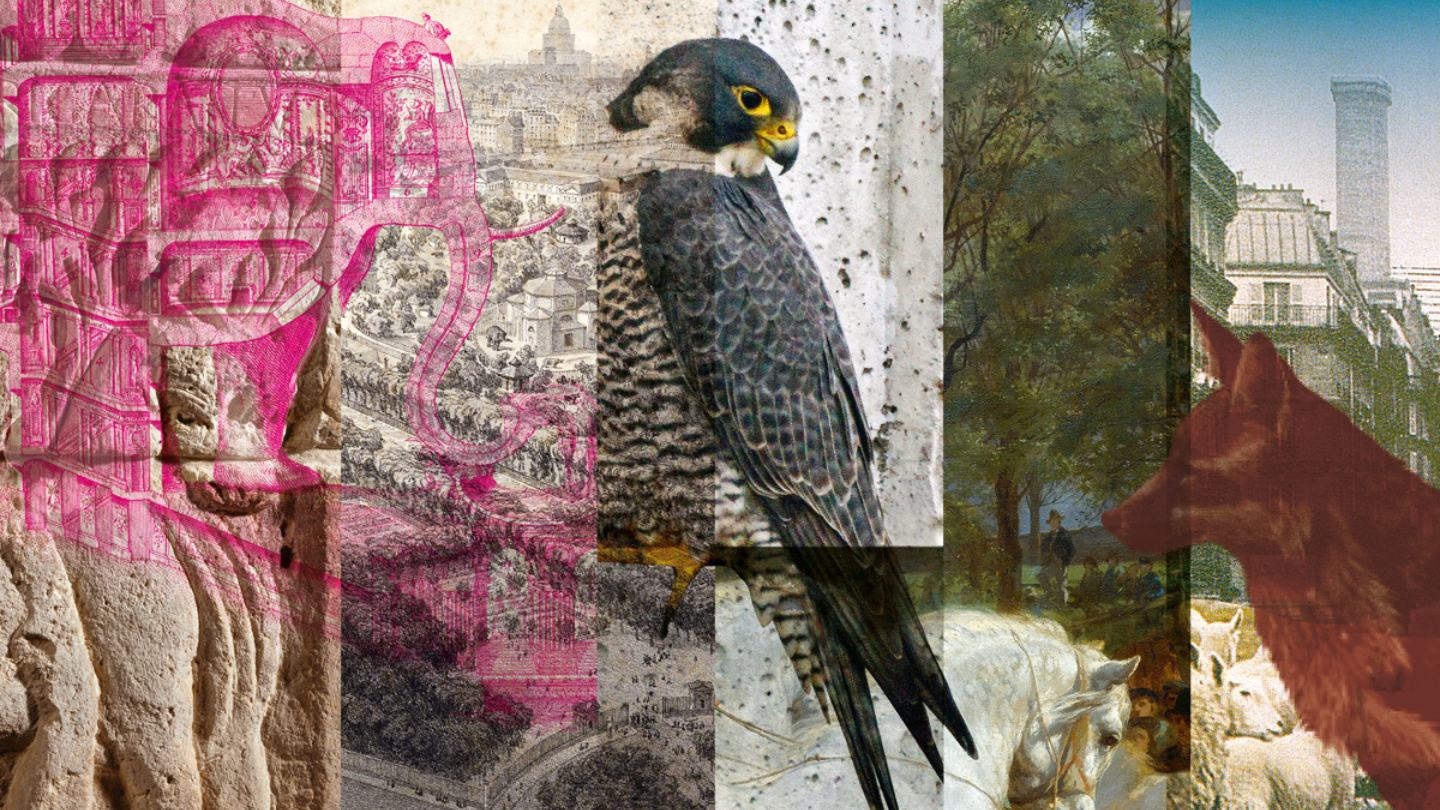 « Paris Animal » au Pavillon de l’Arsenal à Paris : l’exposition à ne ...