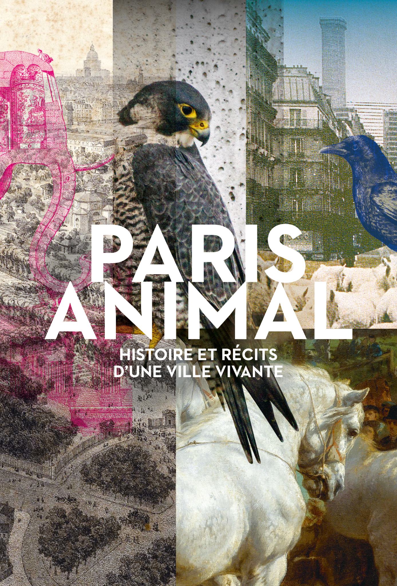 « Paris Animal » au Pavillon de l’Arsenal à Paris : l’exposition à ne ...